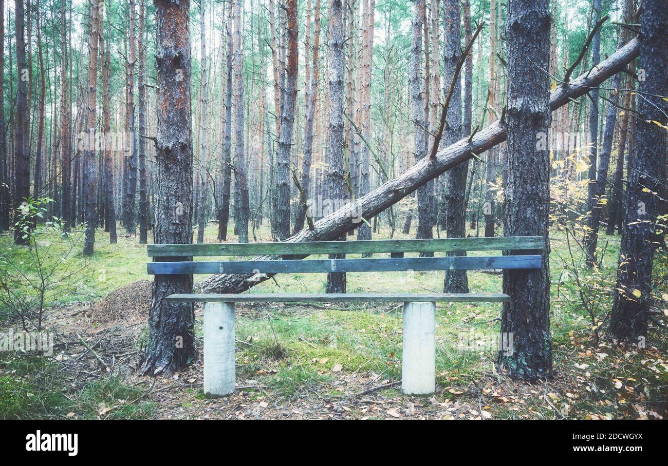 Tree bench hi-res stock photography and images - Alamy