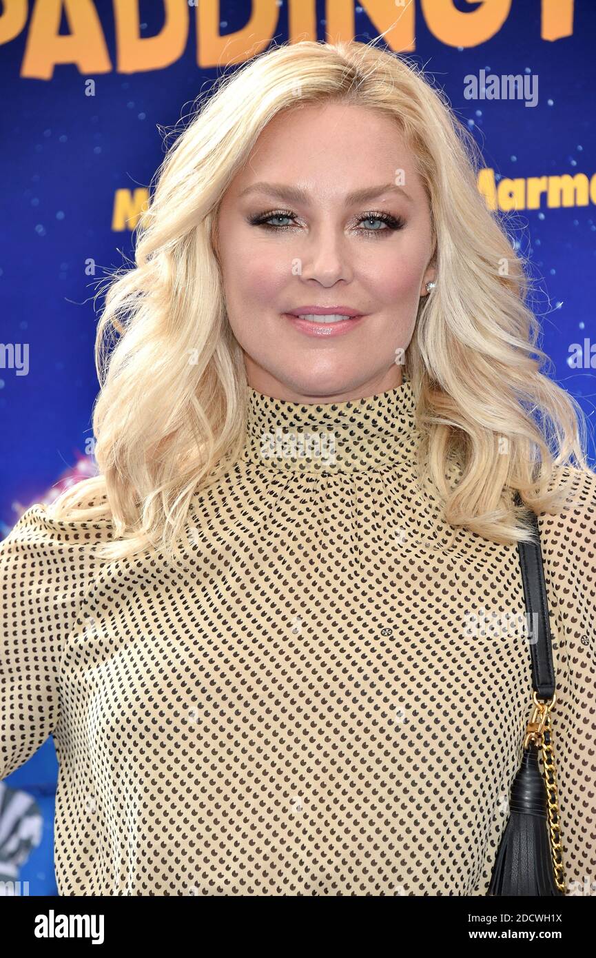 Elisabeth Röhm attends the Paddington 2 Los Angeles Premiere on January ...