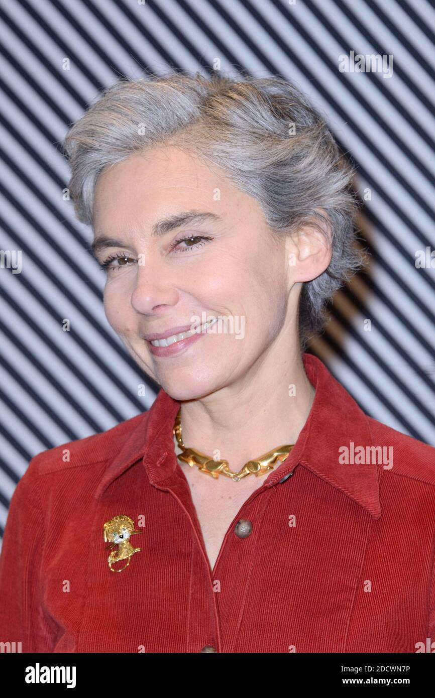 Elisabeth Quin assiste au diner de Gala des Amis du Centre Pompidou ...