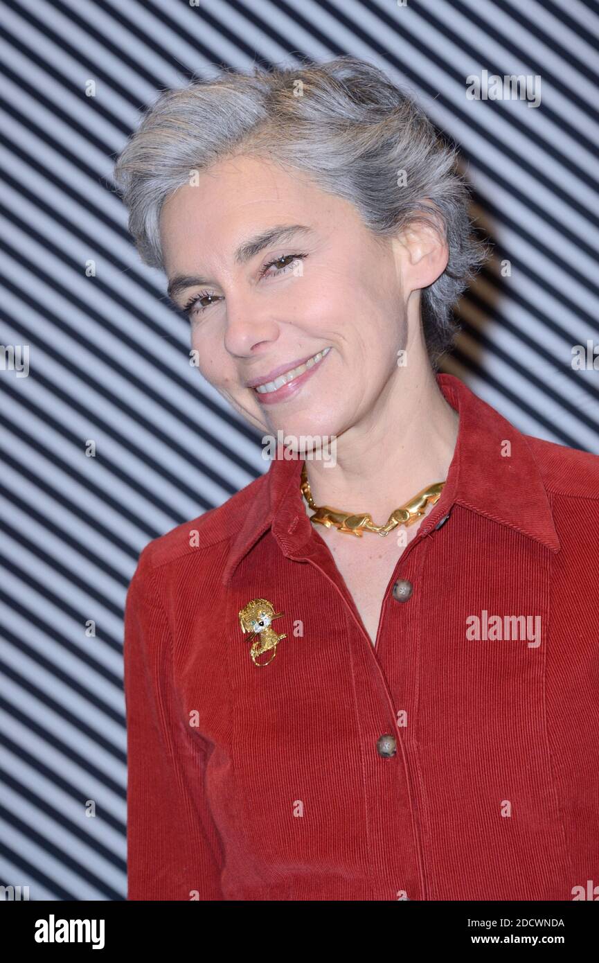 Quin elisabeth hi-res stock photography and images - Alamy