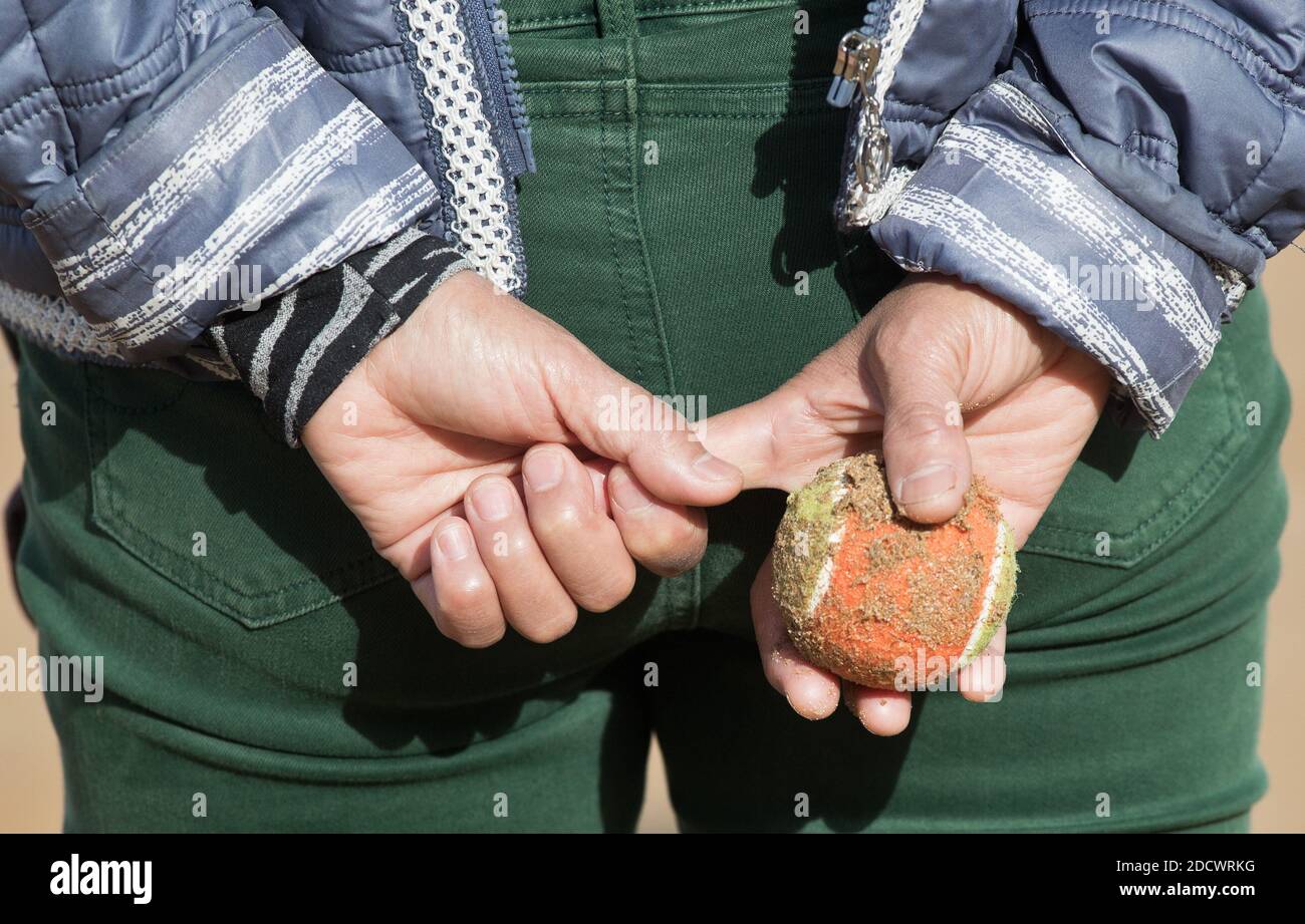 The dog (Canis lupus familiaris), called a domestic dog, is a ...