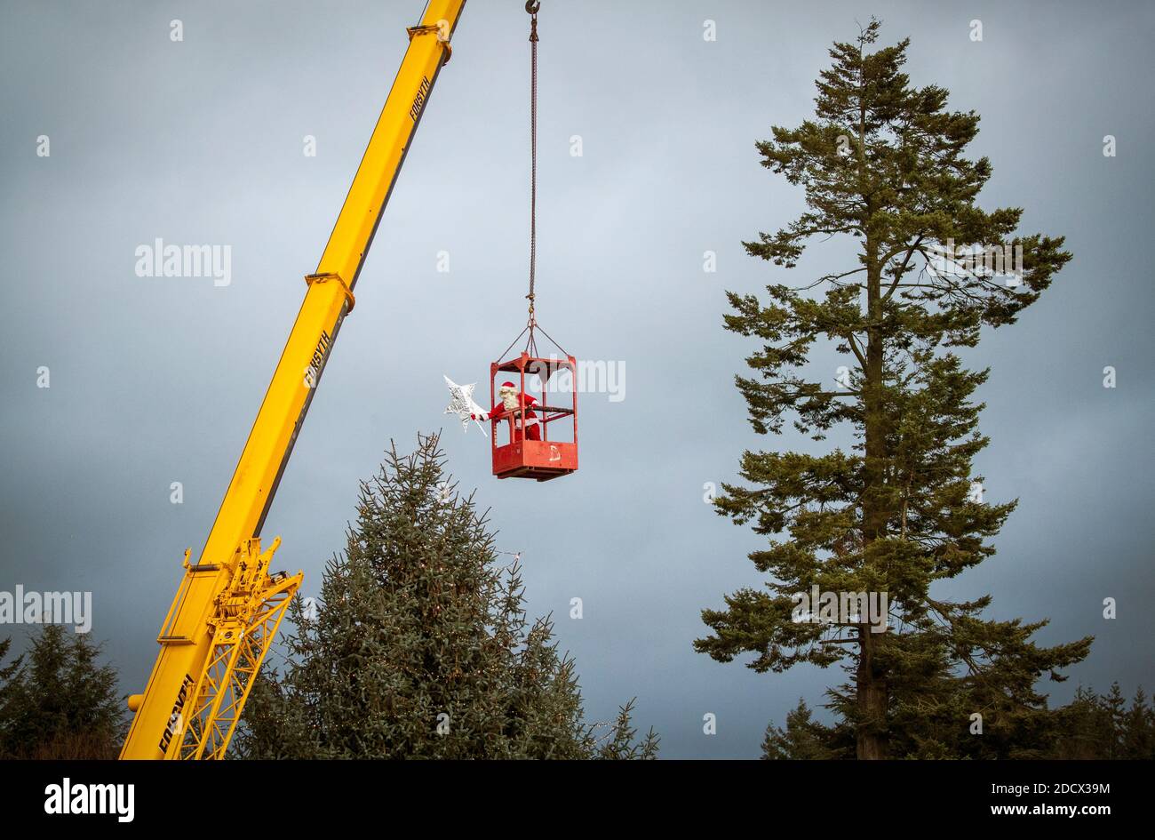 Santa Claus uses a crane to place the star on top of the Christmas tree ...