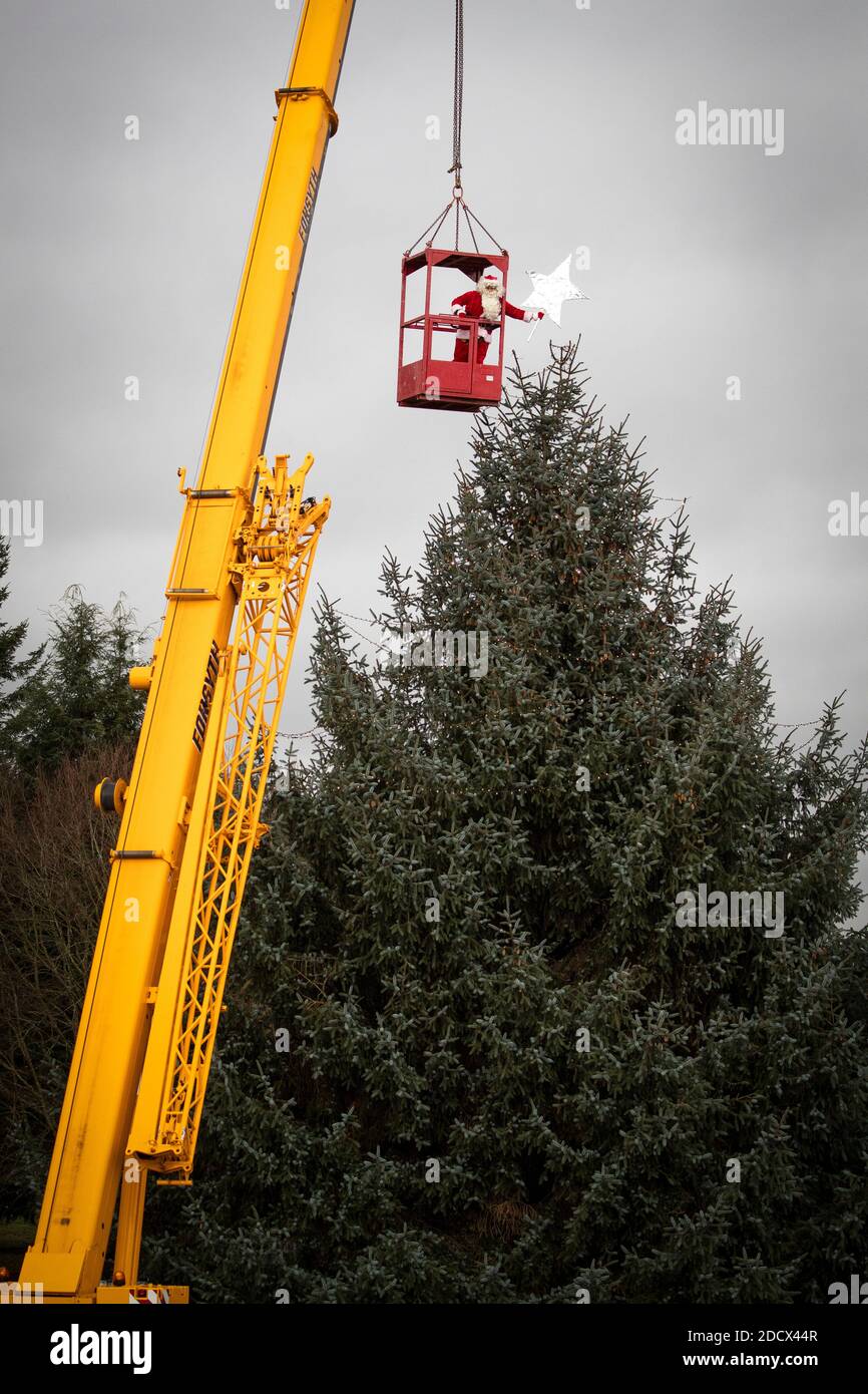 Santa Claus uses a crane to place the star on top of the Christmas tree ...