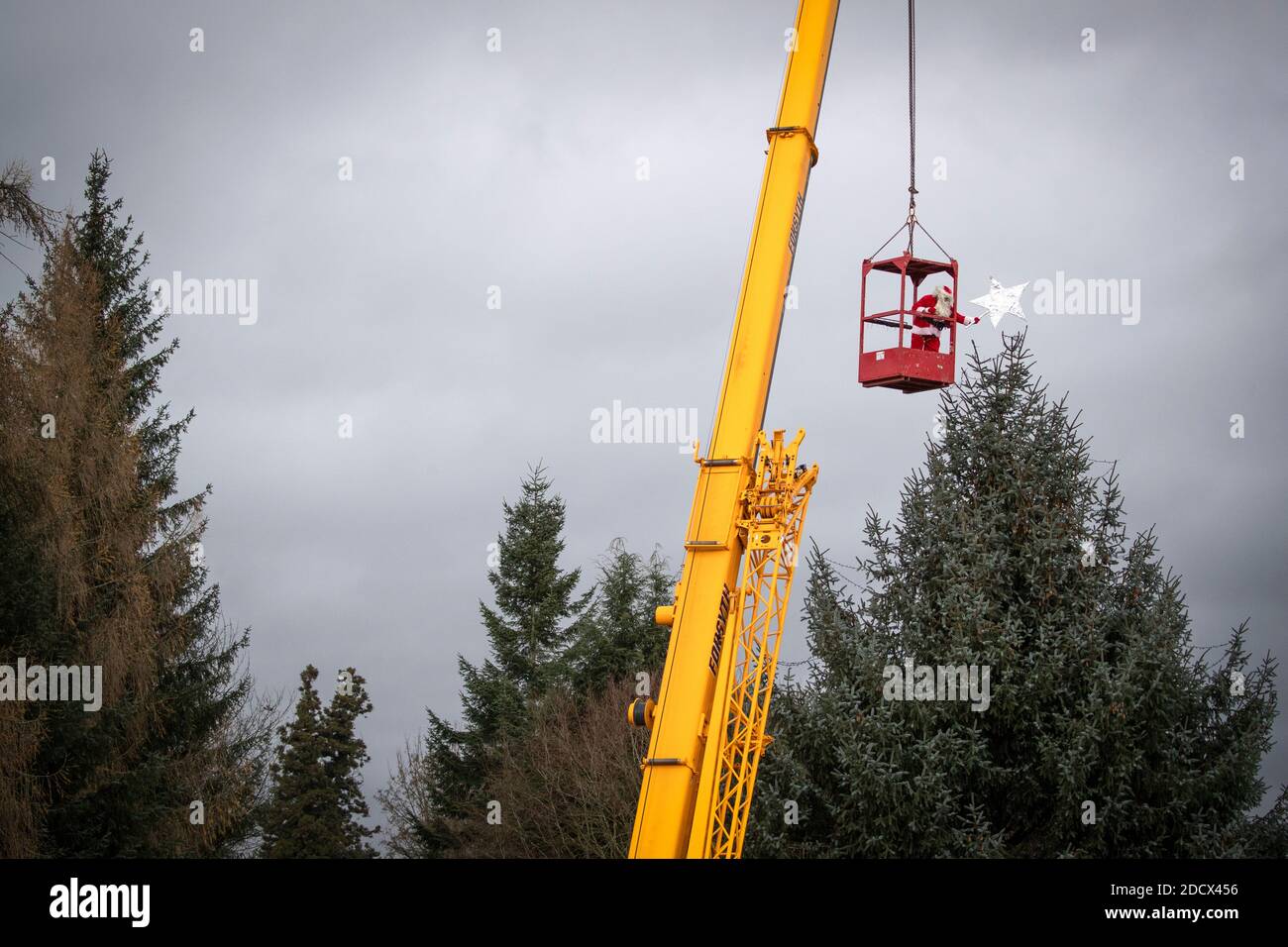Santa Claus uses a crane to place the star on top of the Christmas tree ...