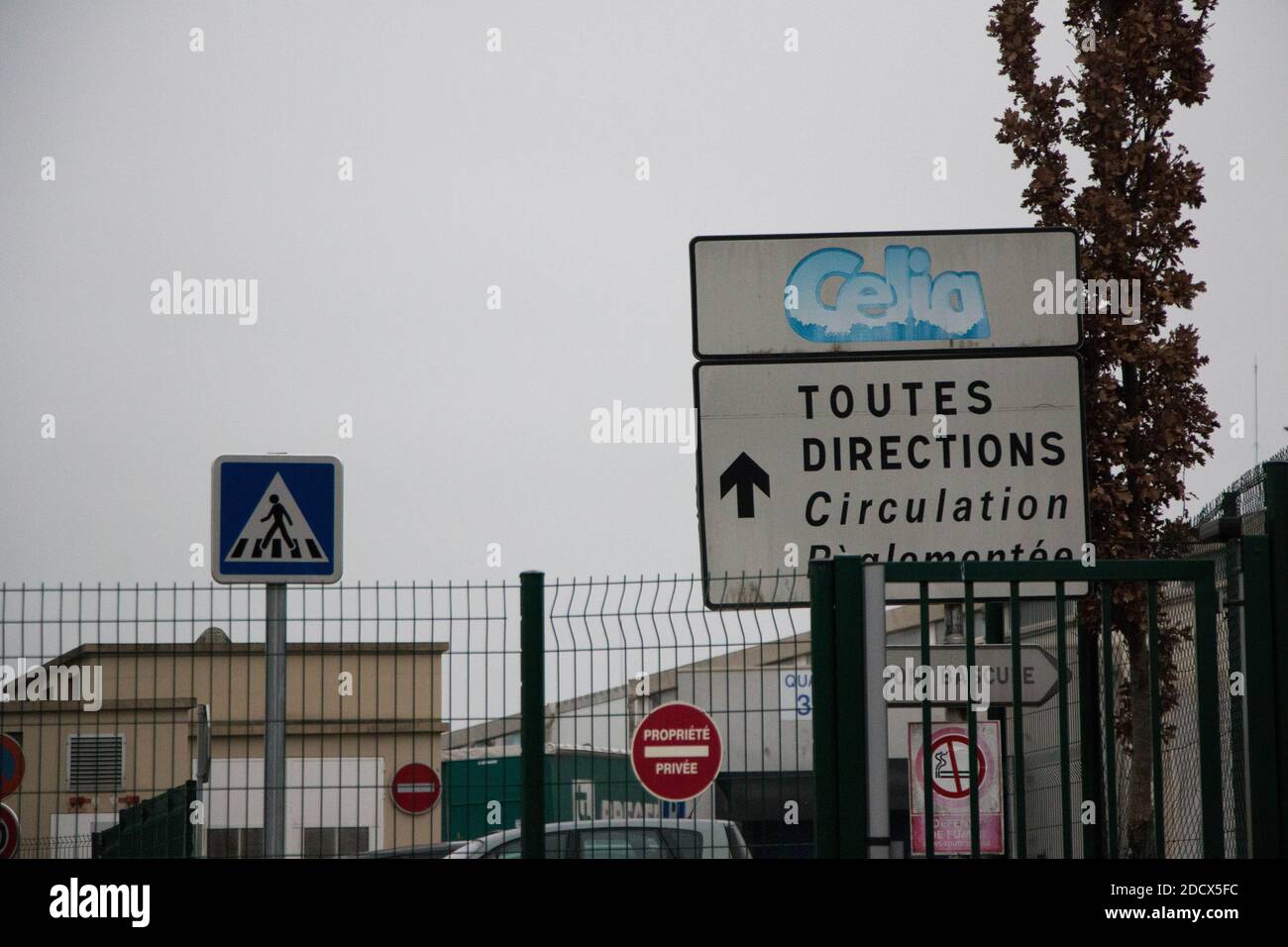A picture taken on January 12, 2018 shows the Celia dairy company's ...