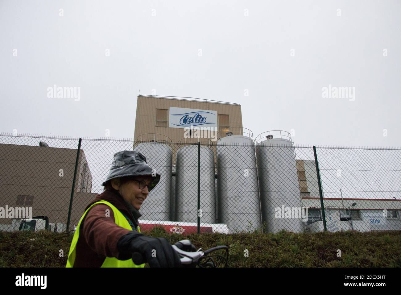 A picture taken on January 12, 2018 shows the Celia dairy company's ...