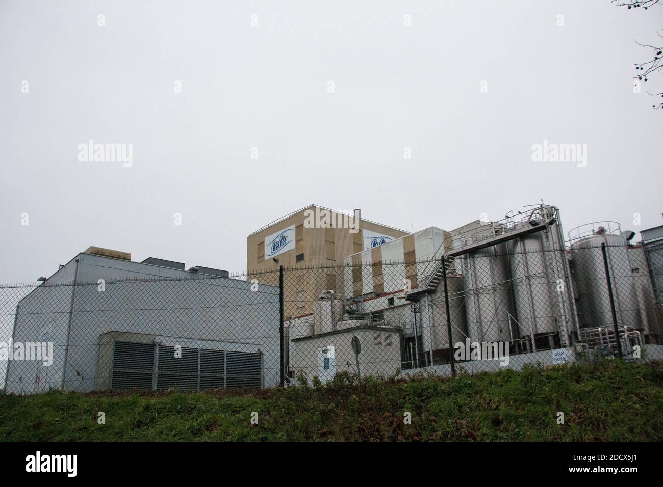A picture taken on January 12, 2018 shows the Celia dairy company's ...
