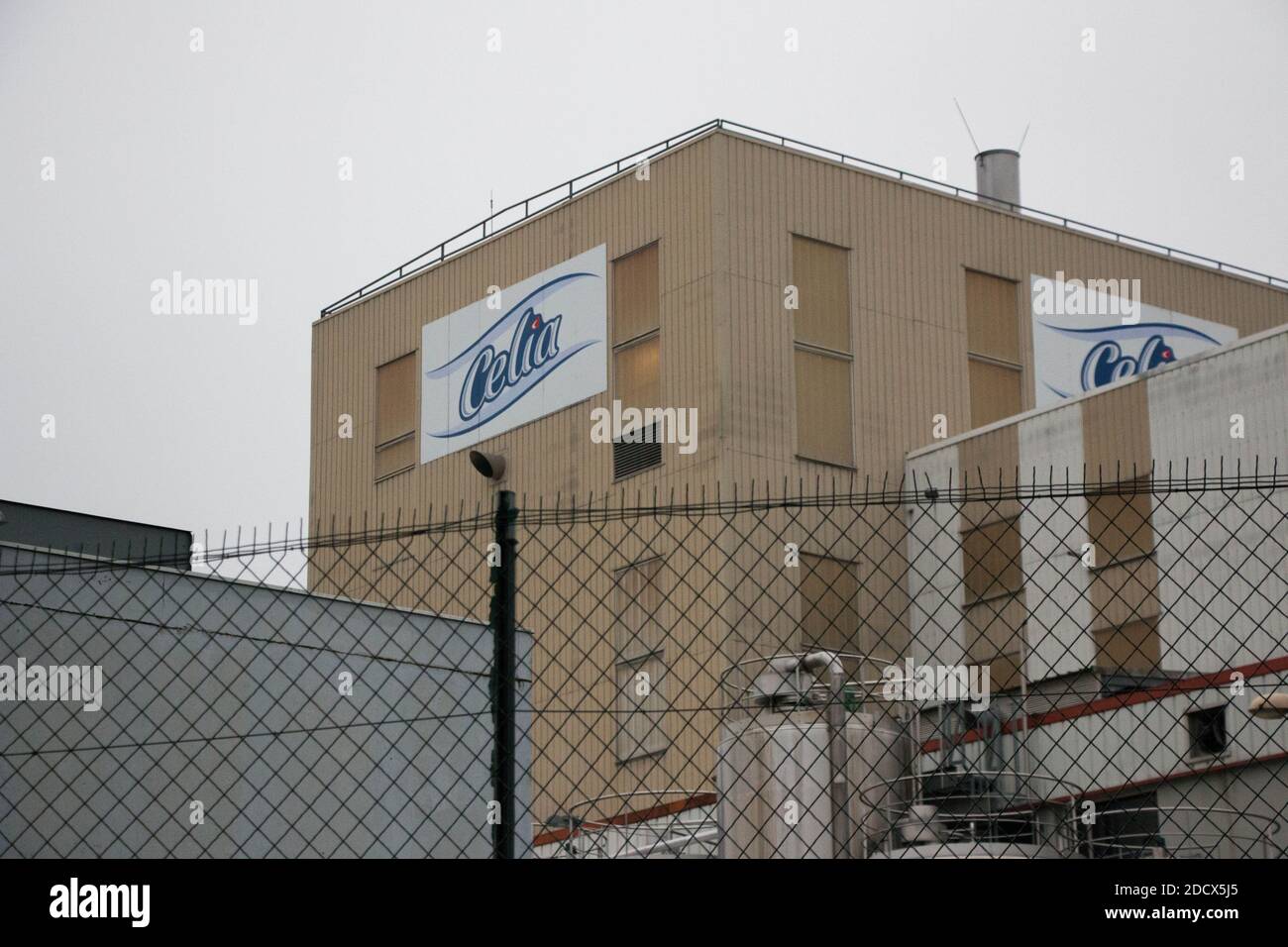 A picture taken on January 12, 2018 shows the Celia dairy company's ...