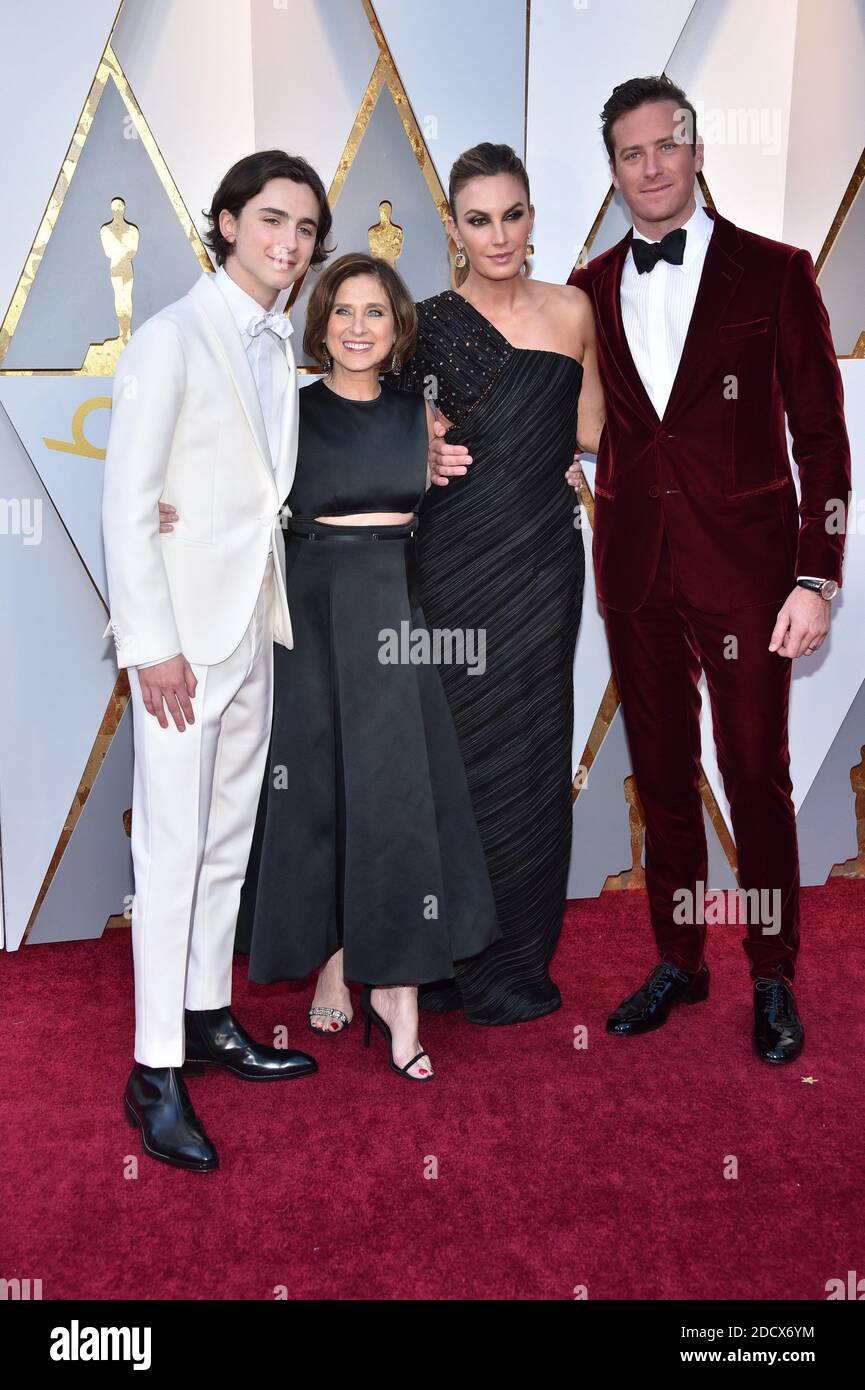 Timothee Chalamet, Nicole Flender, Elizabeth Chambers and Armie Hammer ...