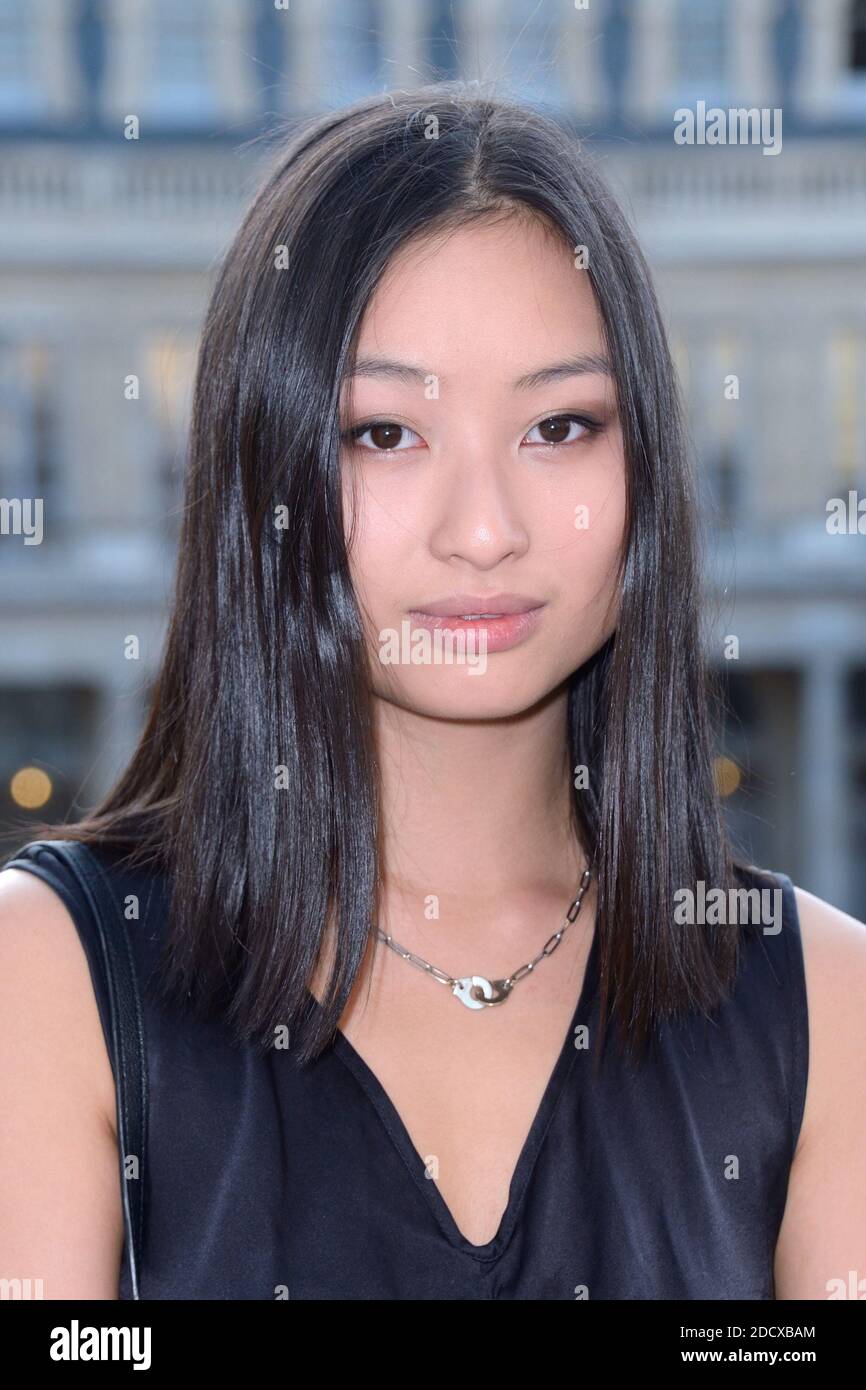 Lang Khe Tran assiste a la reception en l'honneur des film francais ...