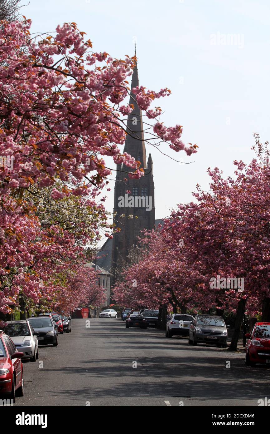 Park Circus, Ayr, Ayrshire, Scotland. Spring blossum frame St Andrews ...