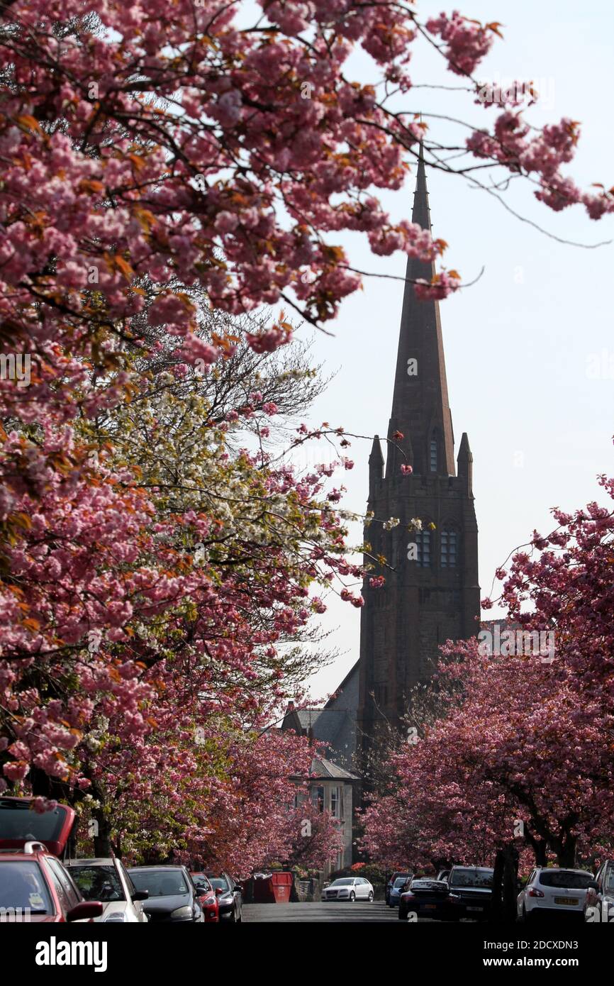Park Circus, Ayr , Ayrshire, Scotland Spring Blossom & St Andrews ...