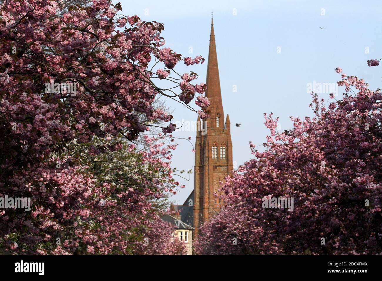 Ayr parish church hi-res stock photography and images - Alamy