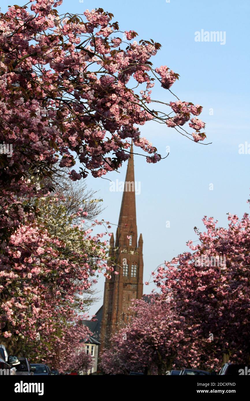 Park Circus, Ayr , Ayrshire, Scotland Spring Blossom & St Andrews ...