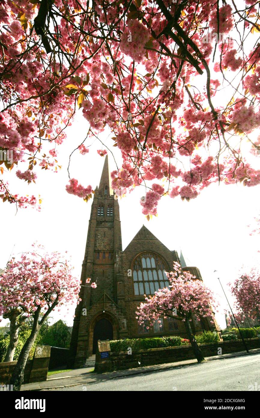 Park Circus, Ayr , Ayrshire, Scotland Spring Blossom & St Andrews ...