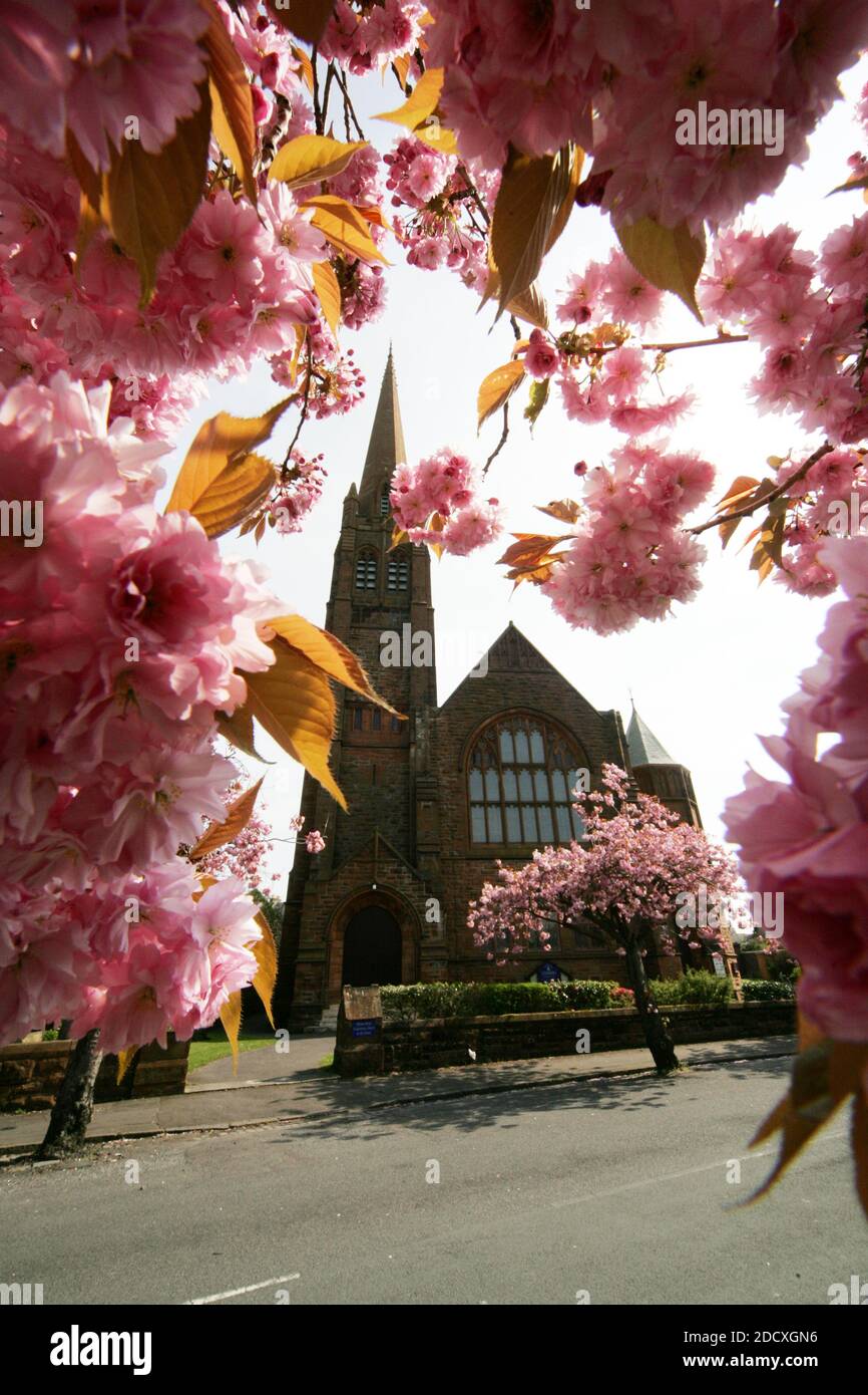 Park Circus, Ayr , Ayrshire, Scotland Spring Blossom & St Andrews ...