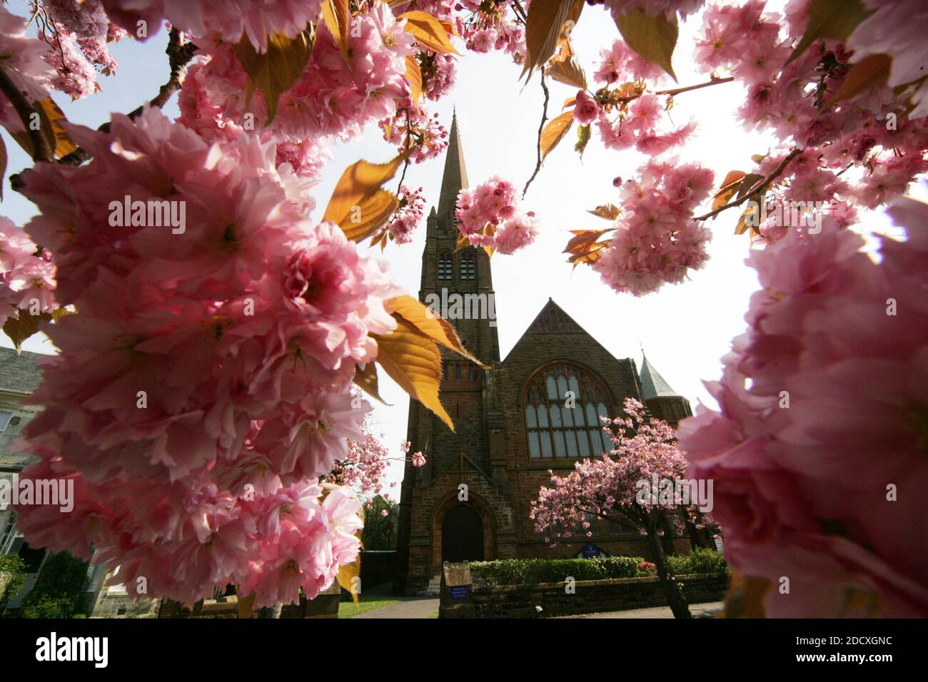 Park Circus, Ayr , Ayrshire, Scotland Spring Blossom & St Andrews ...