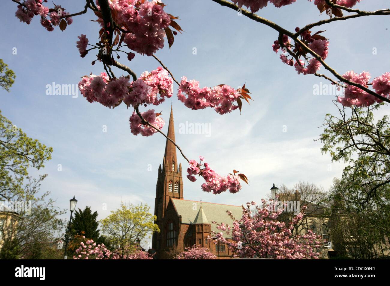 Park Circus, Ayr , Ayrshire, Scotland Spring Blossom & St Andrews ...