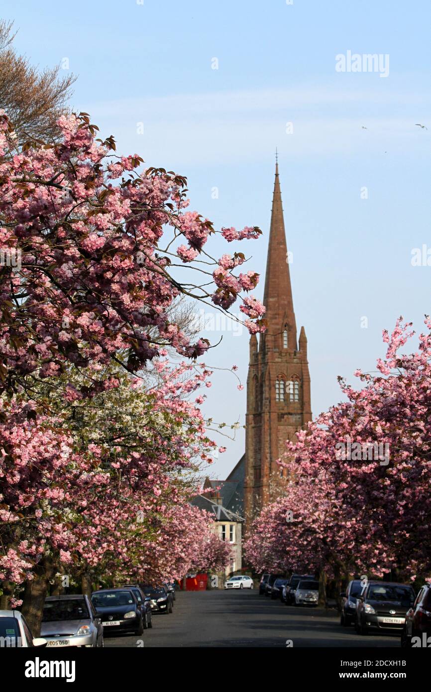Park Circus, Ayr , Ayrshire, Scotland Spring Blossom & St Andrews ...