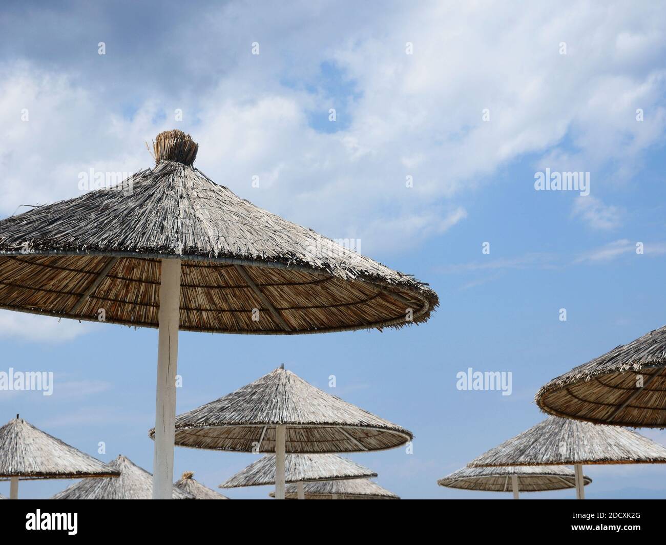 umbrella from a cane on the beach Stock Photo - Alamy