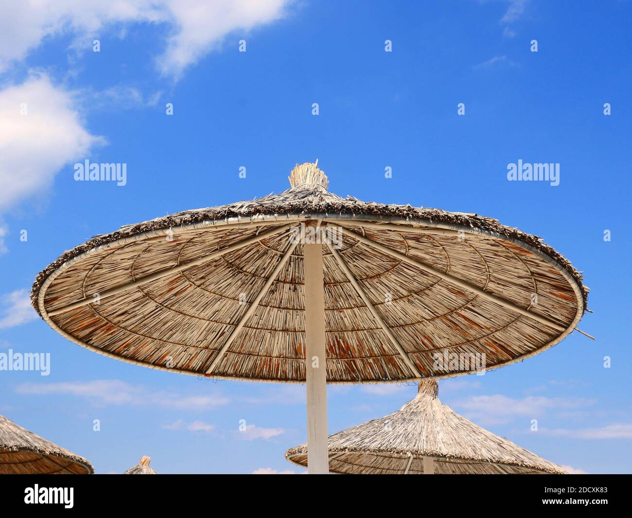 umbrella from a cane on the beach Stock Photo - Alamy
