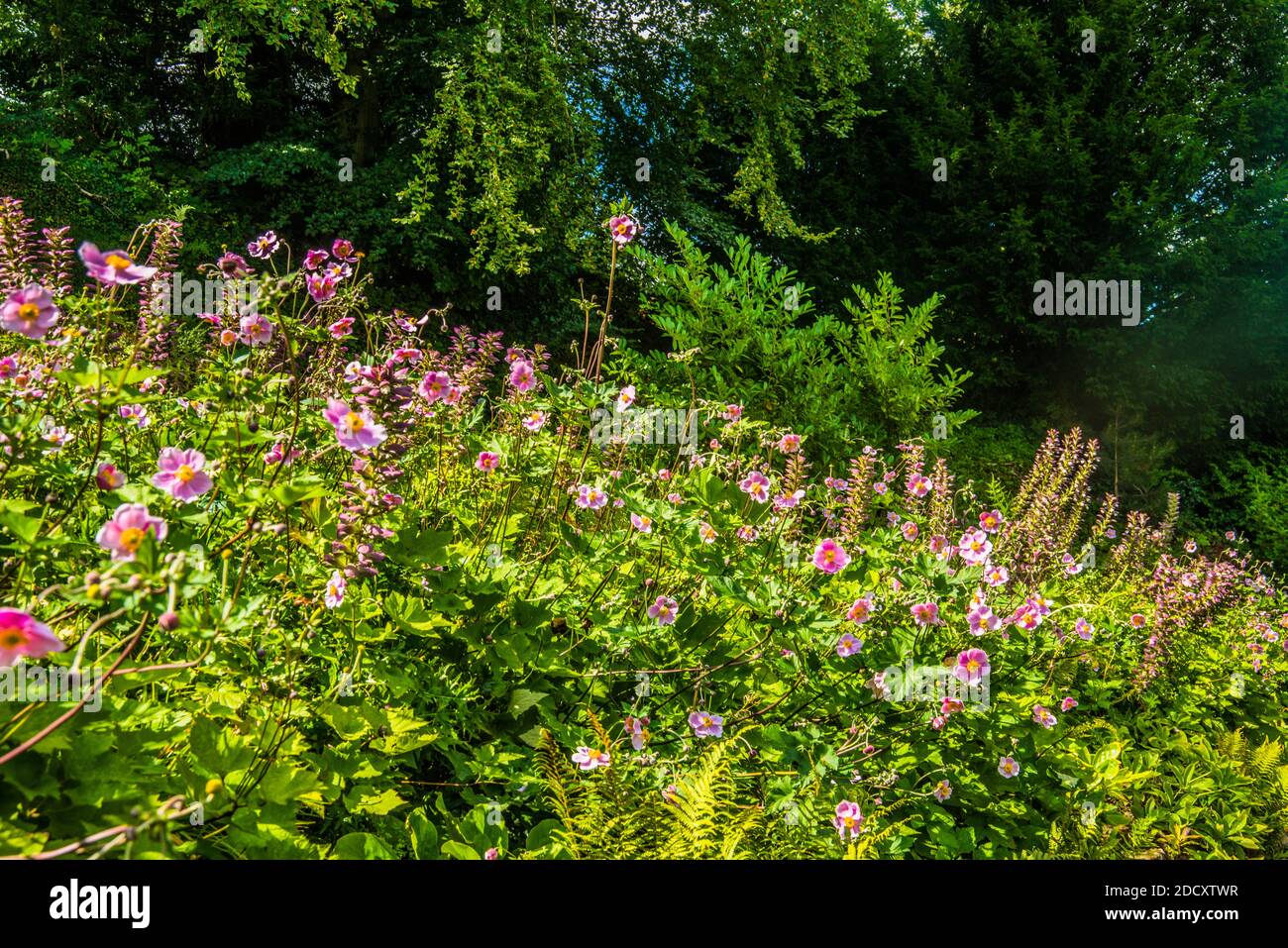 rainbows in the gardens Brodsworth Raymond Boswell Stock Photo - Alamy
