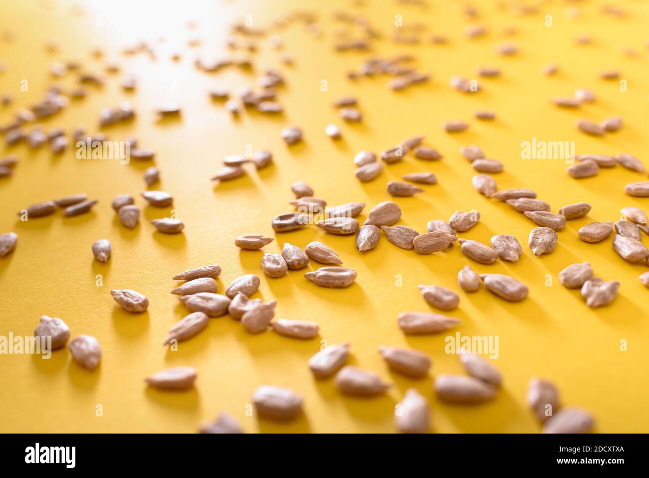 Sunflower seeds rich in fatty acids and minerals, a healthy snack Stock ...