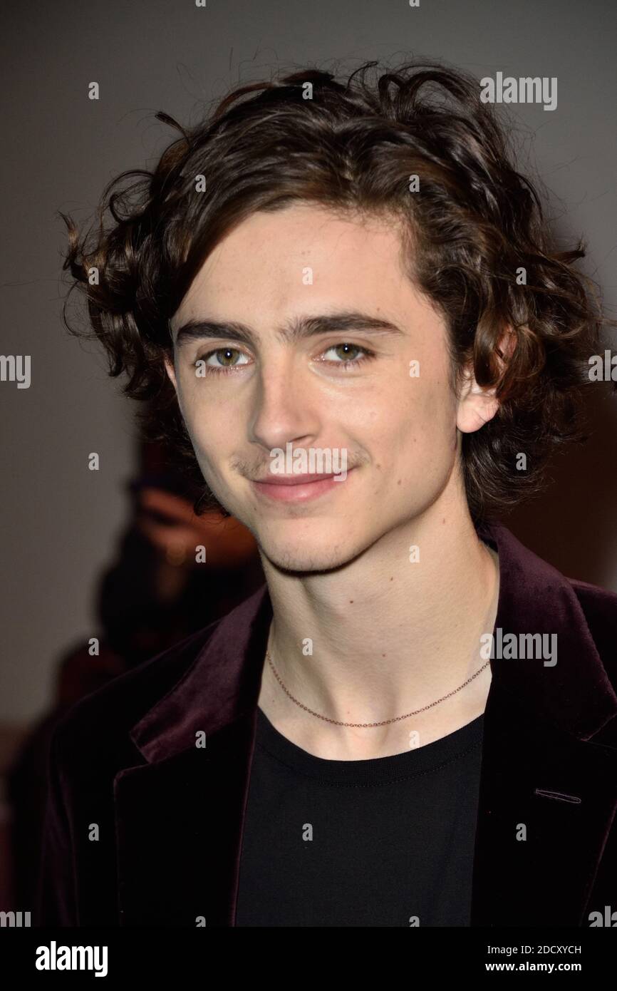 Thimothee Chalamet attending the Berluti Menswear Fall/Winter 2018-2019 ...
