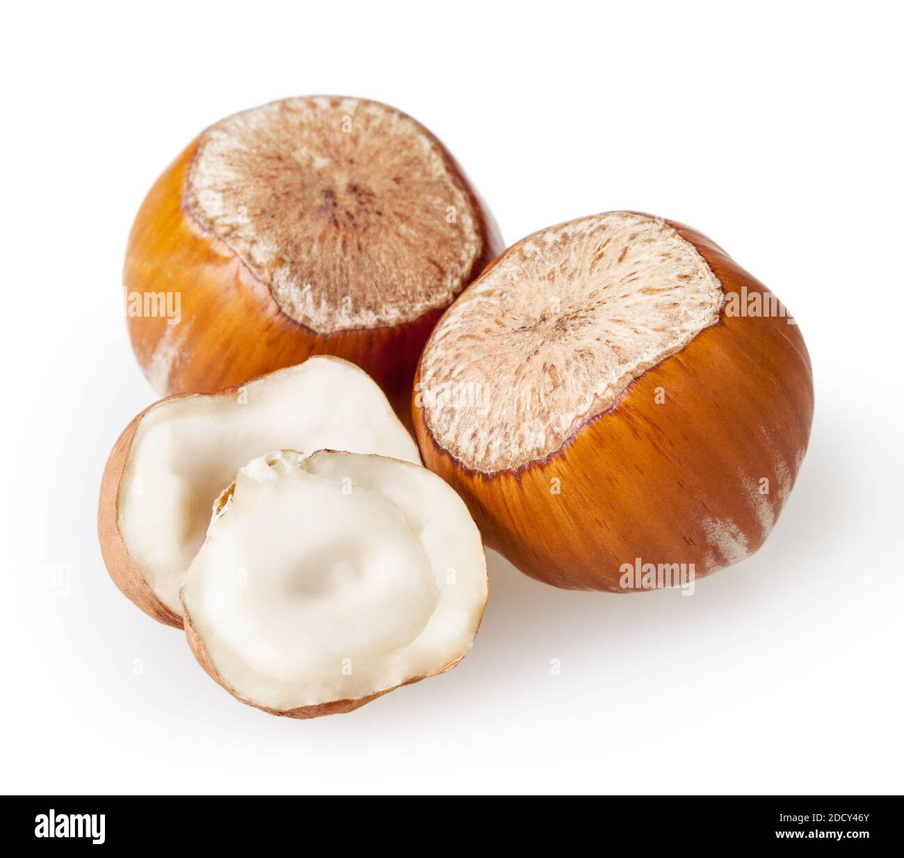 Hazelnuts isolated on white background with clipping path Stock Photo ...