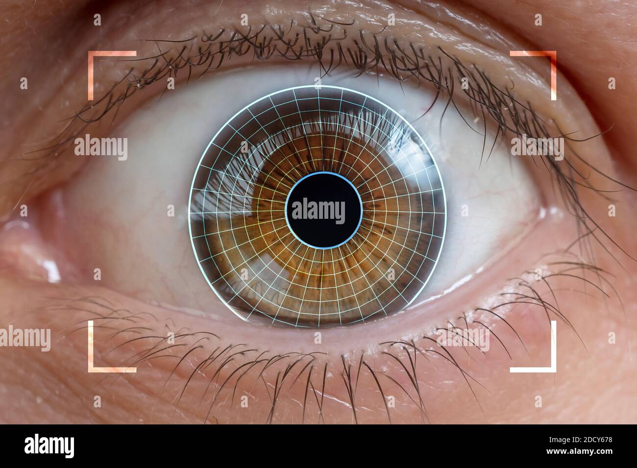 Biometrics, eye scanning and recognition concept Stock Photo - Alamy
