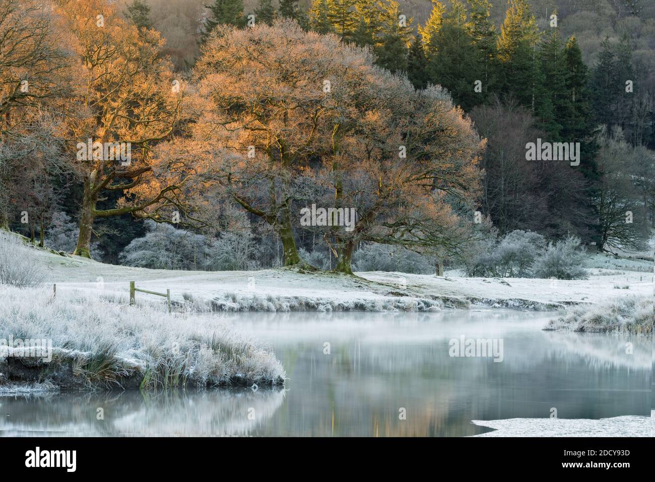 Cold and frosty winter morning at the River Brathay in the Lake ...