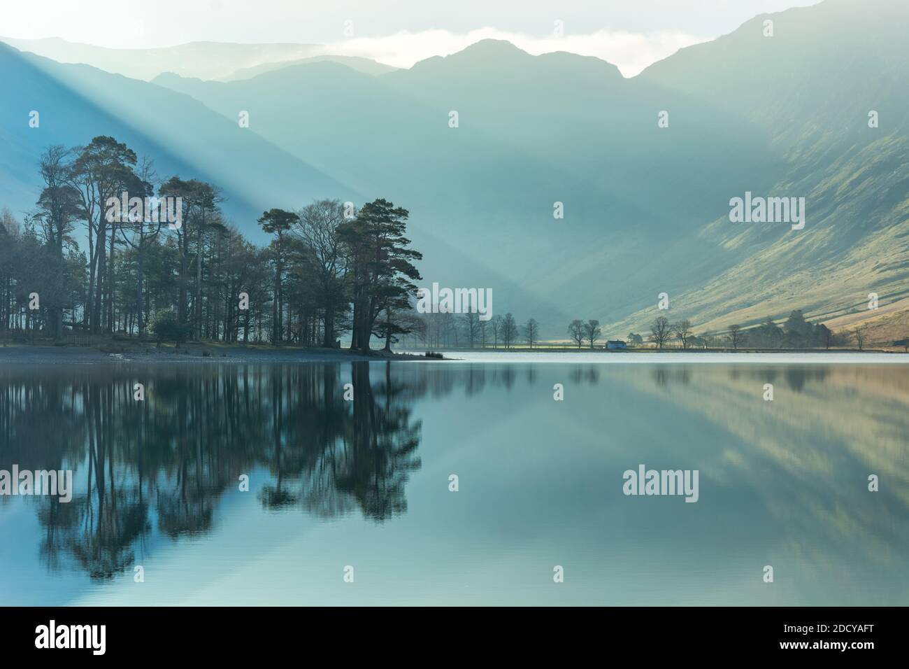 Misty morning with calm reflections of tree's in lake at Buttermere in ...