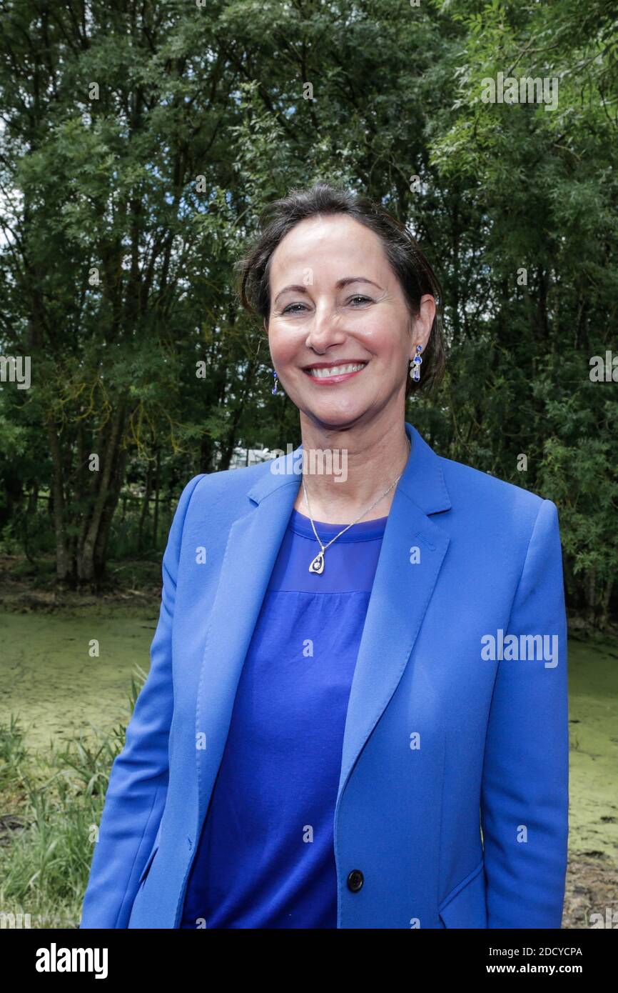 Segolene Royal, Minister of the Ecology of Sustainable Development and ...