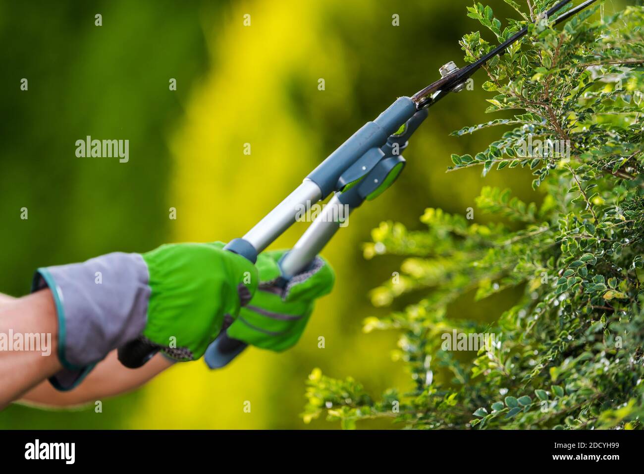 Gardening and Landscaping Industry Theme. Professional Gardener ...