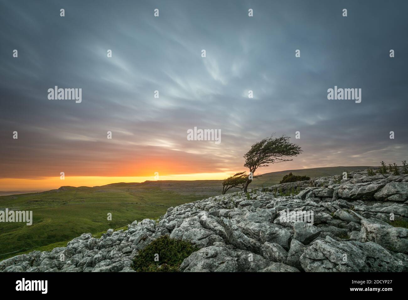 Dramatic sunset with moody clouds and a lonely windswept tree at ...