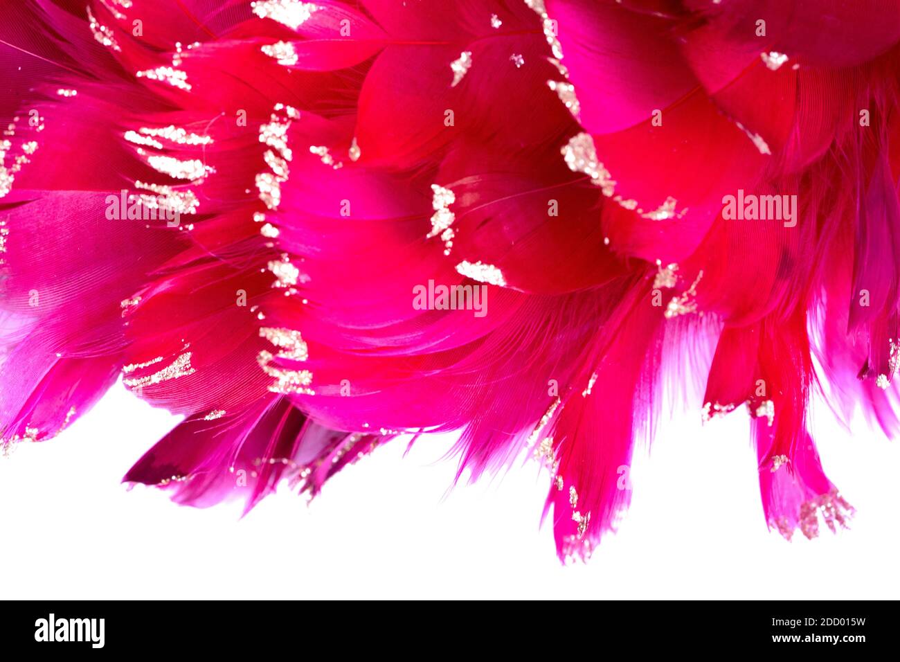 Pink Feather Border