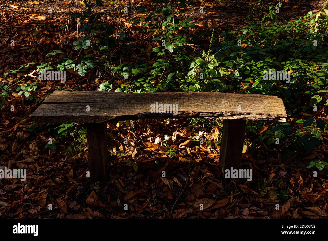 Texture wooden bench hi-res stock photography and images - Alamy