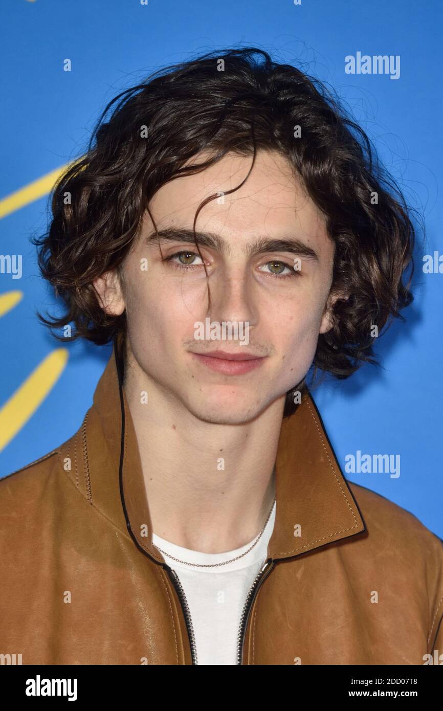 Timothee Chalamet attending the 'Call me by your name' Premiere at UGC ...