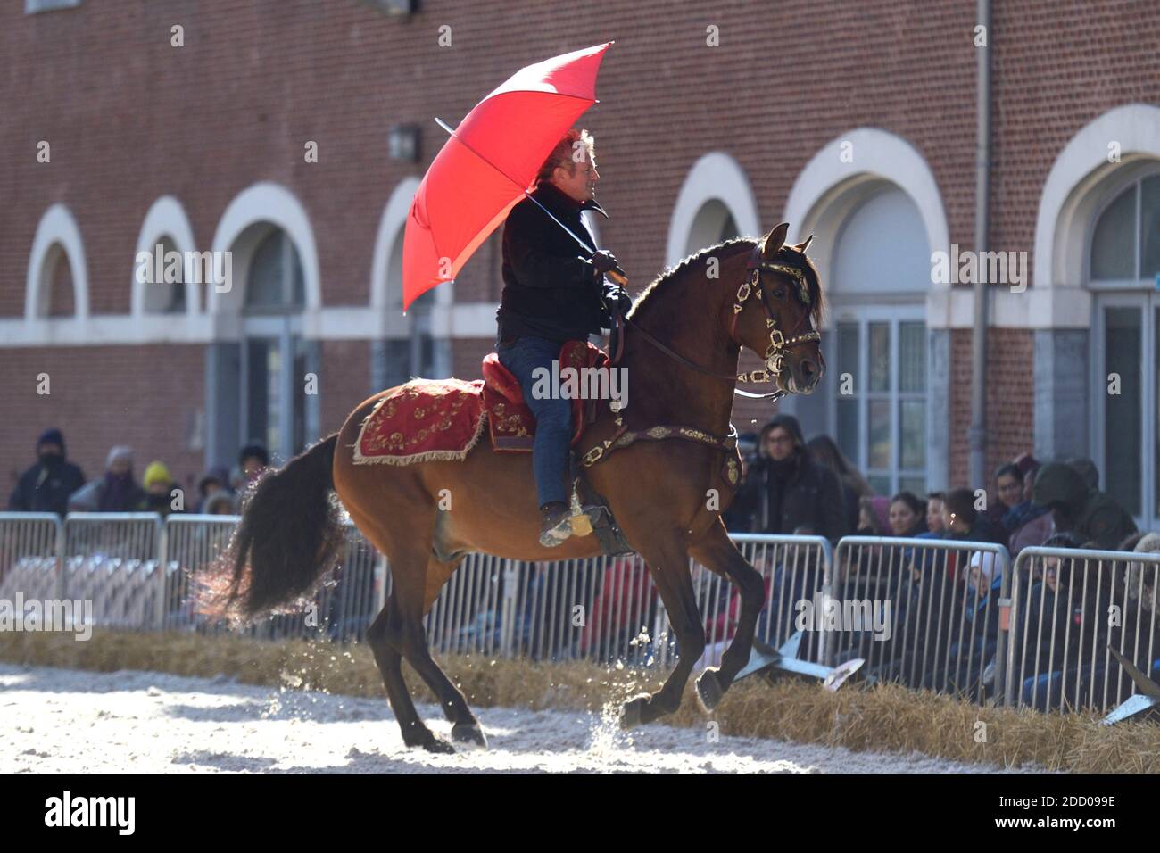 Le cascadeur equestre Mario Luraschi et son equipe pratiquent une ...