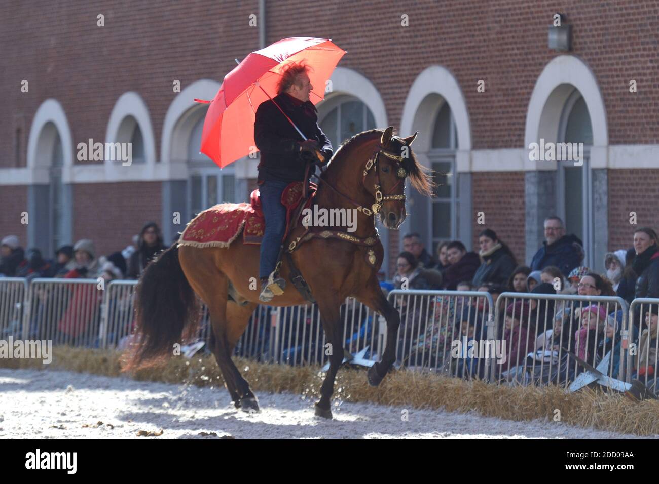 Le cascadeur equestre Mario Luraschi et son equipe pratiquent une ...