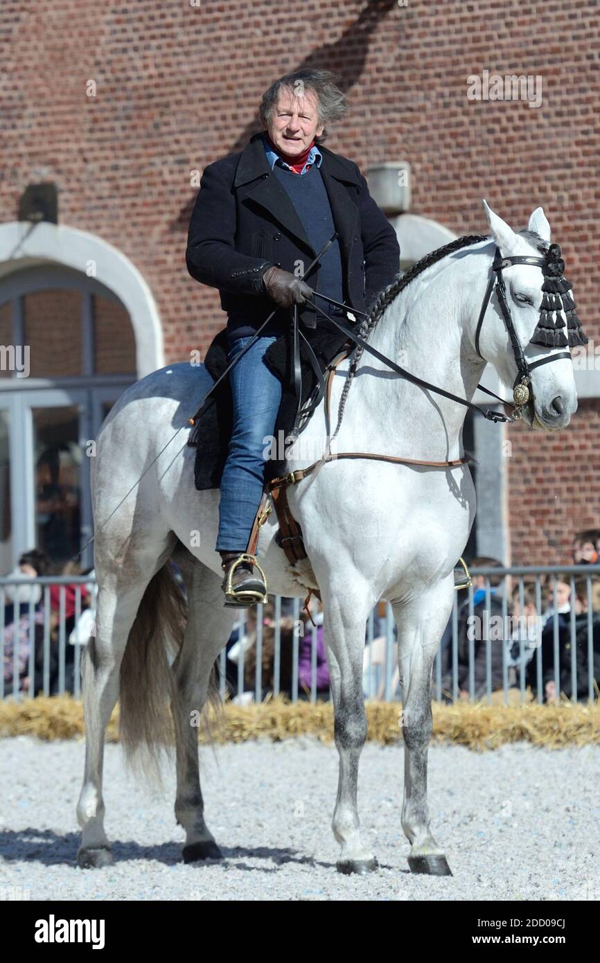 Le cascadeur equestre Mario Luraschi et son equipe pratiquent une ...