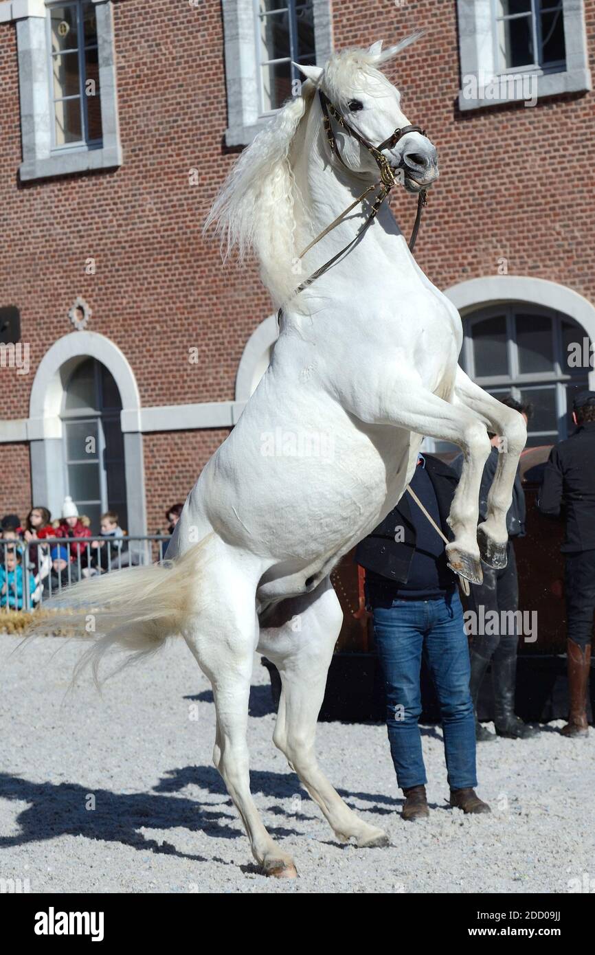 Cascadeur cascadeur hi-res stock photography and images - Alamy