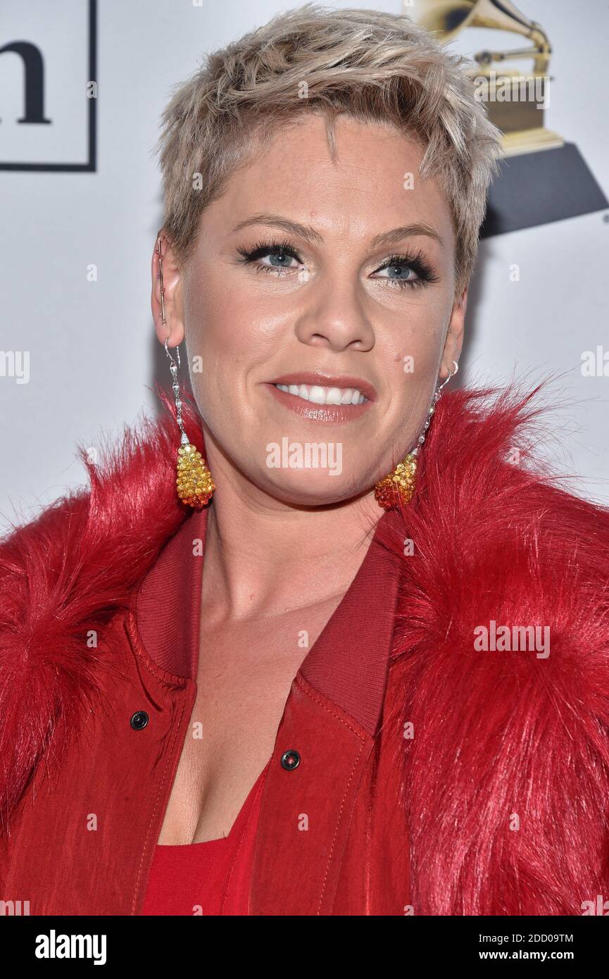 Pink attends the Clive Davis and Recording Academy Pre-GRAMMY Gala and ...