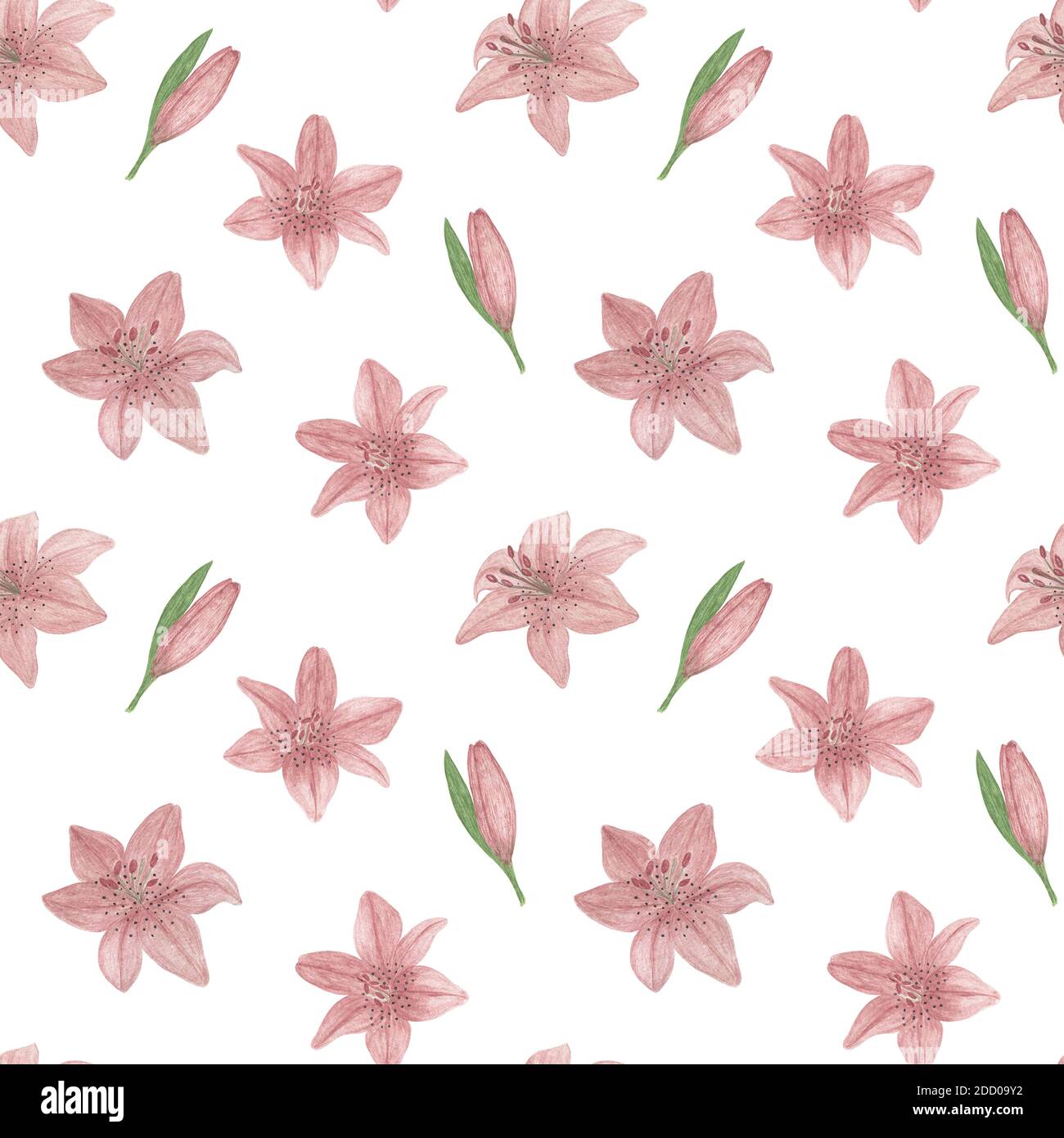 Simple Pink Flower Outline