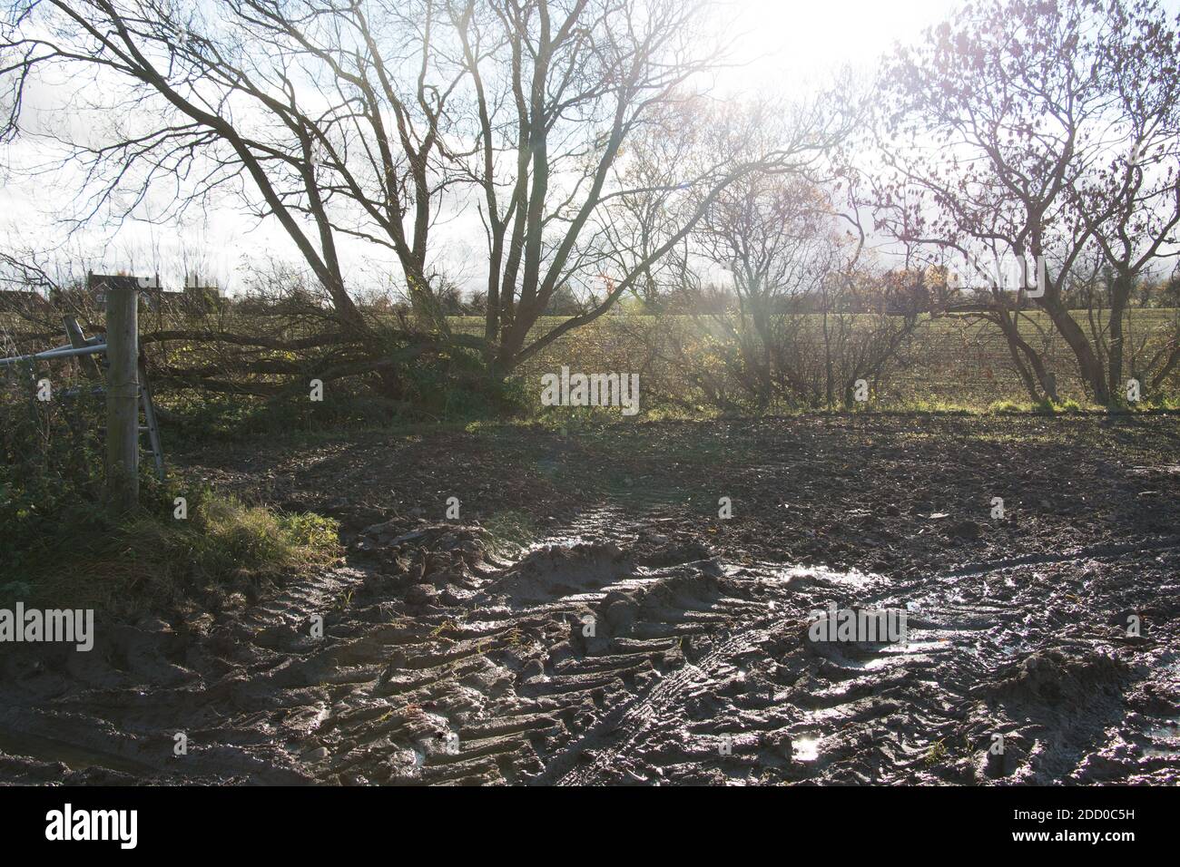 Muddy field hi-res stock photography and images - Alamy