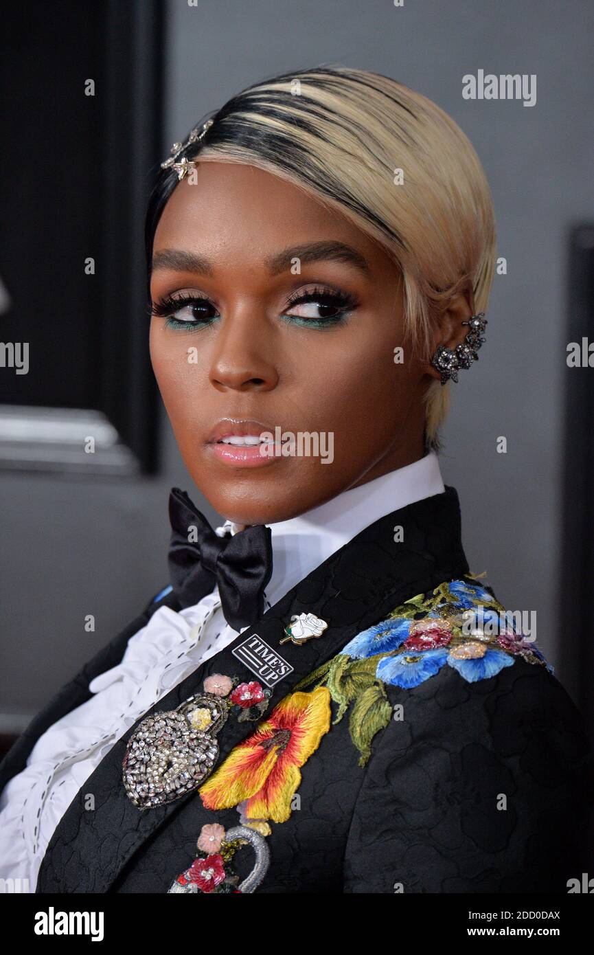 Janelle Monáe attends the 60th Annual GRAMMY Awards at Madison Square ...
