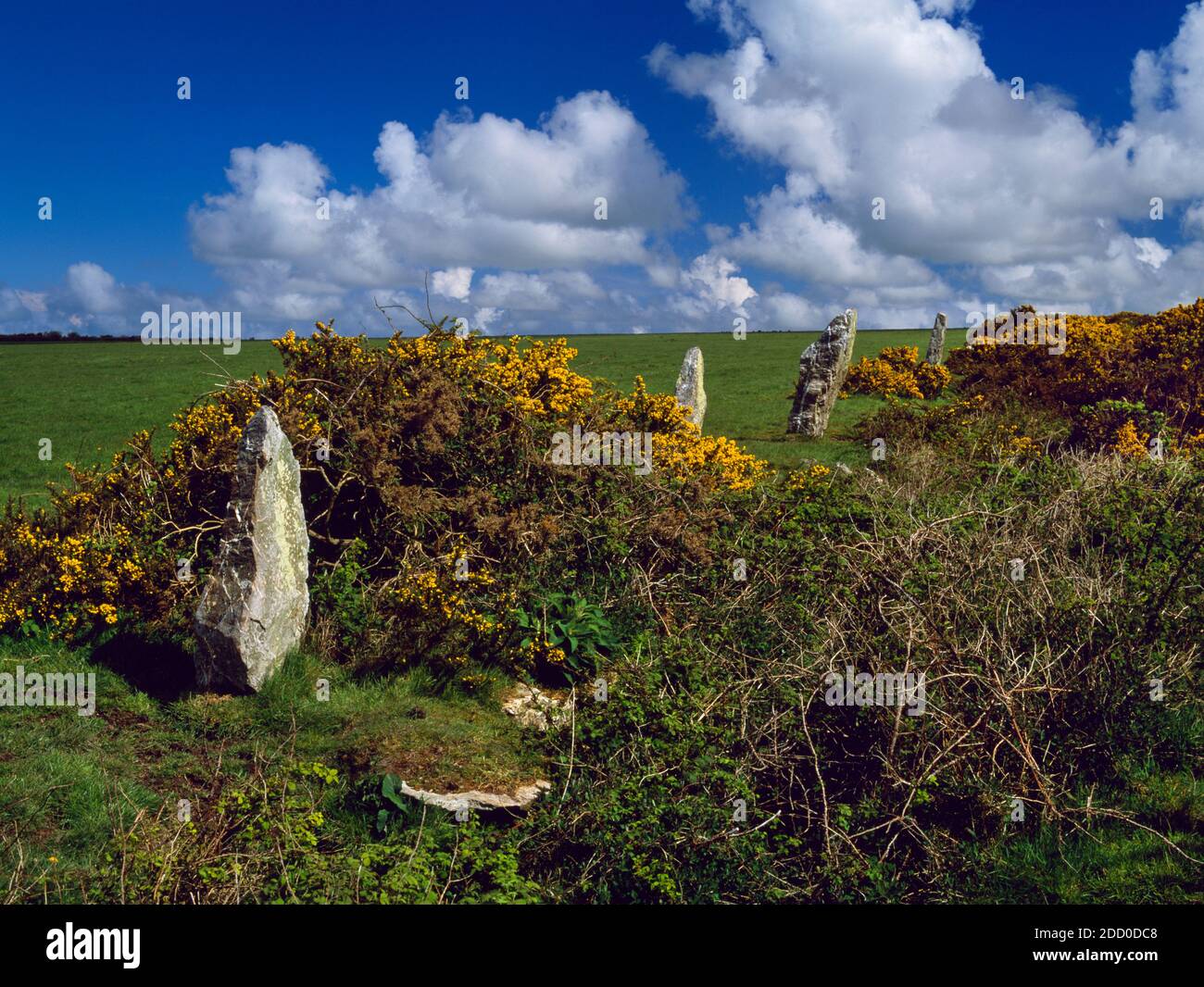 Looking NNE at four upright stones of the Nine Maidens stone row on the ...