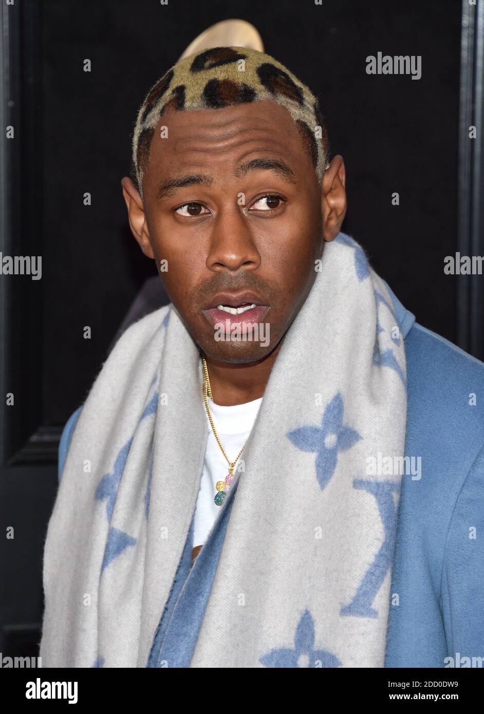 Tyler The Creator Hairline