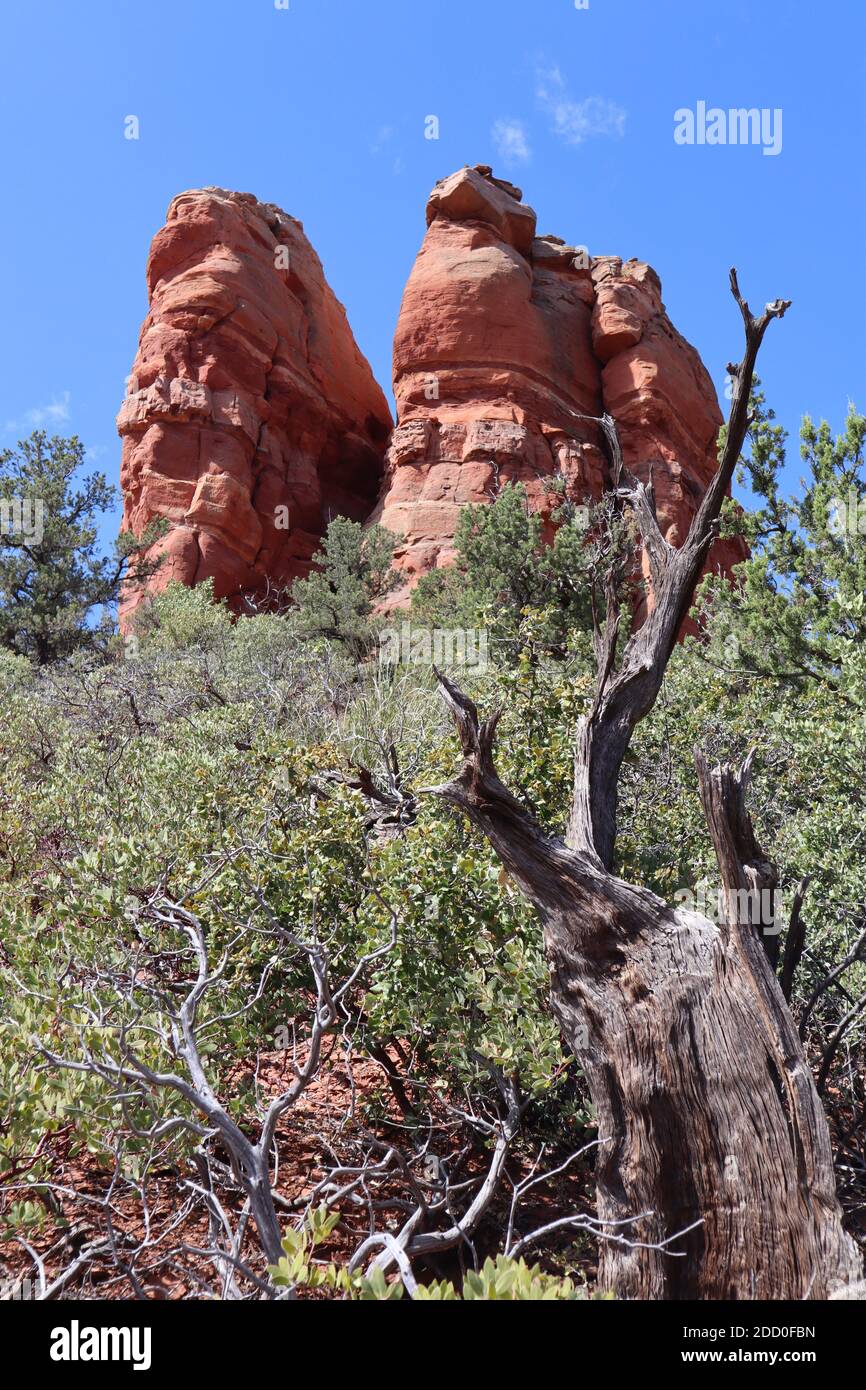 A vertical shot of the Chimney Rock surrounded by greenery under the ...