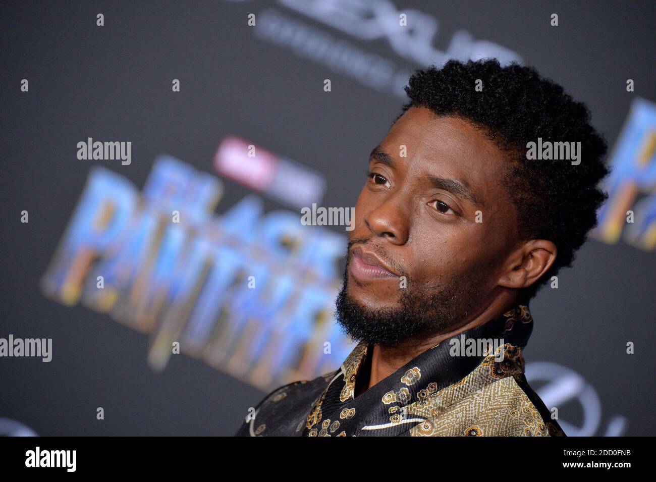 Chadwick Boseman attends the premiere of Disney and Marvel's 'Black ...